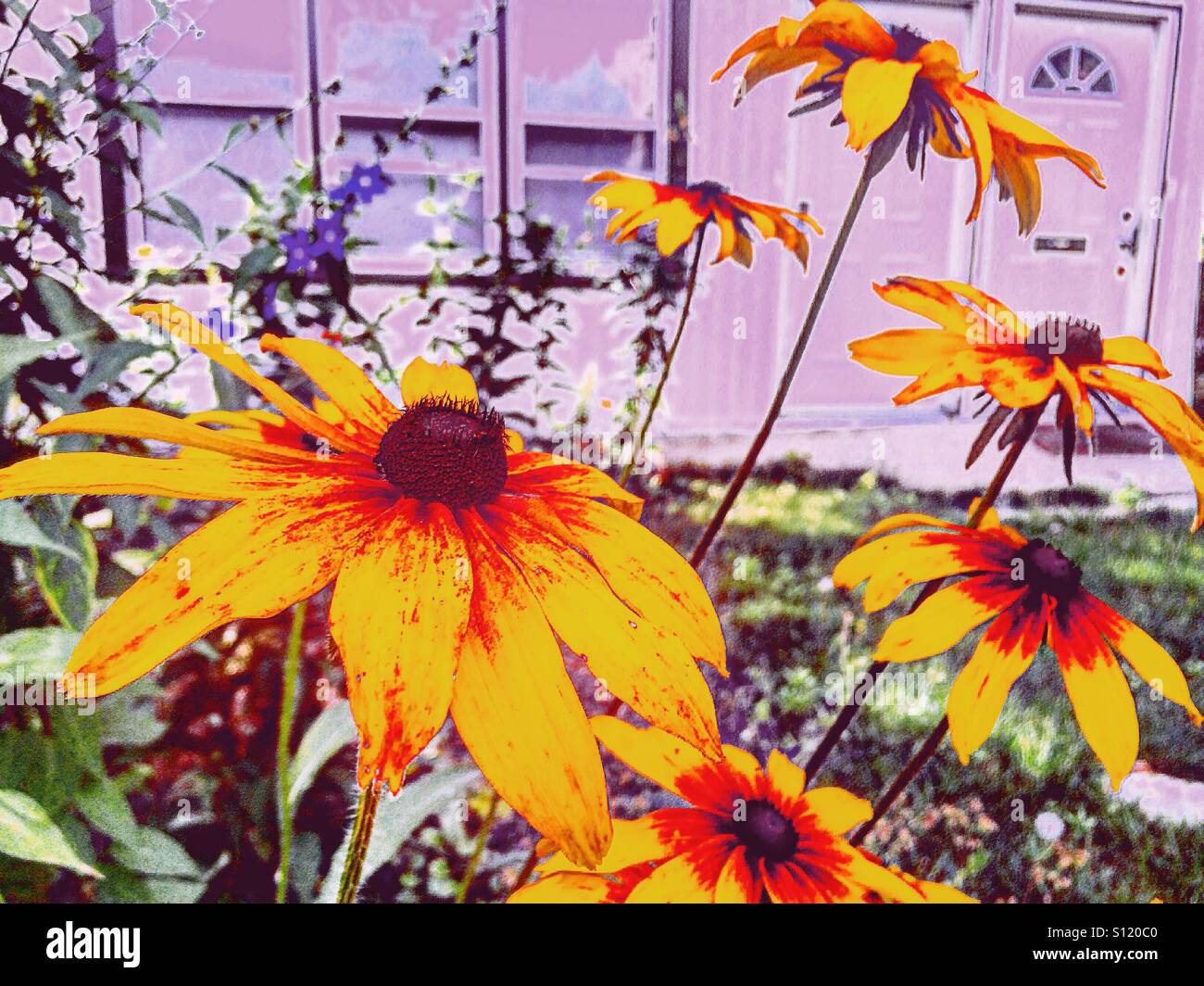 Dream in Color Stock Photo - Alamy