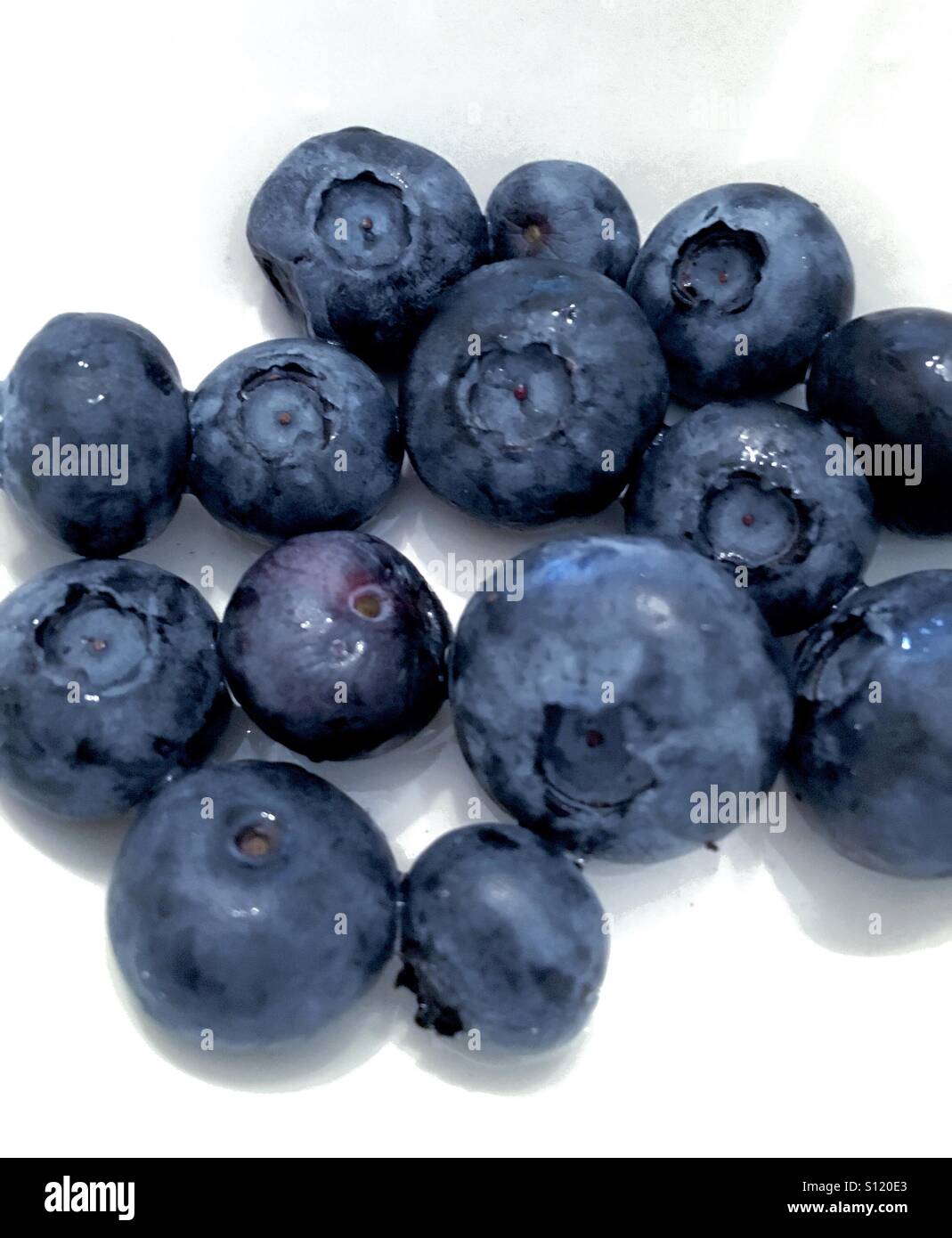 Fresh picked blueberries Stock Photo - Alamy