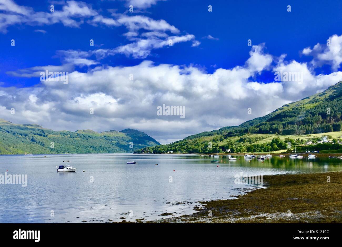 Loch Goil shore at Lochgoilhead, blue sky with some fluffy clouds ...