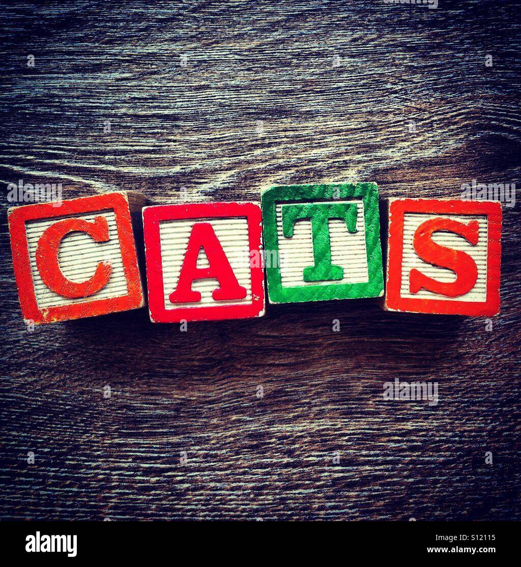 CATS word done with alphabet wood blocks letters Stock Photo - Alamy