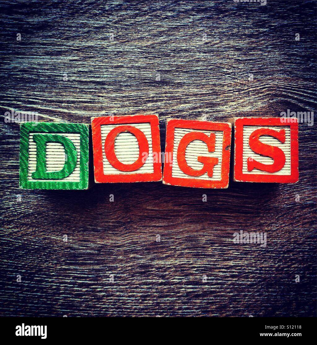 DOGS word done with alphabet wood blocks letters Stock Photo - Alamy