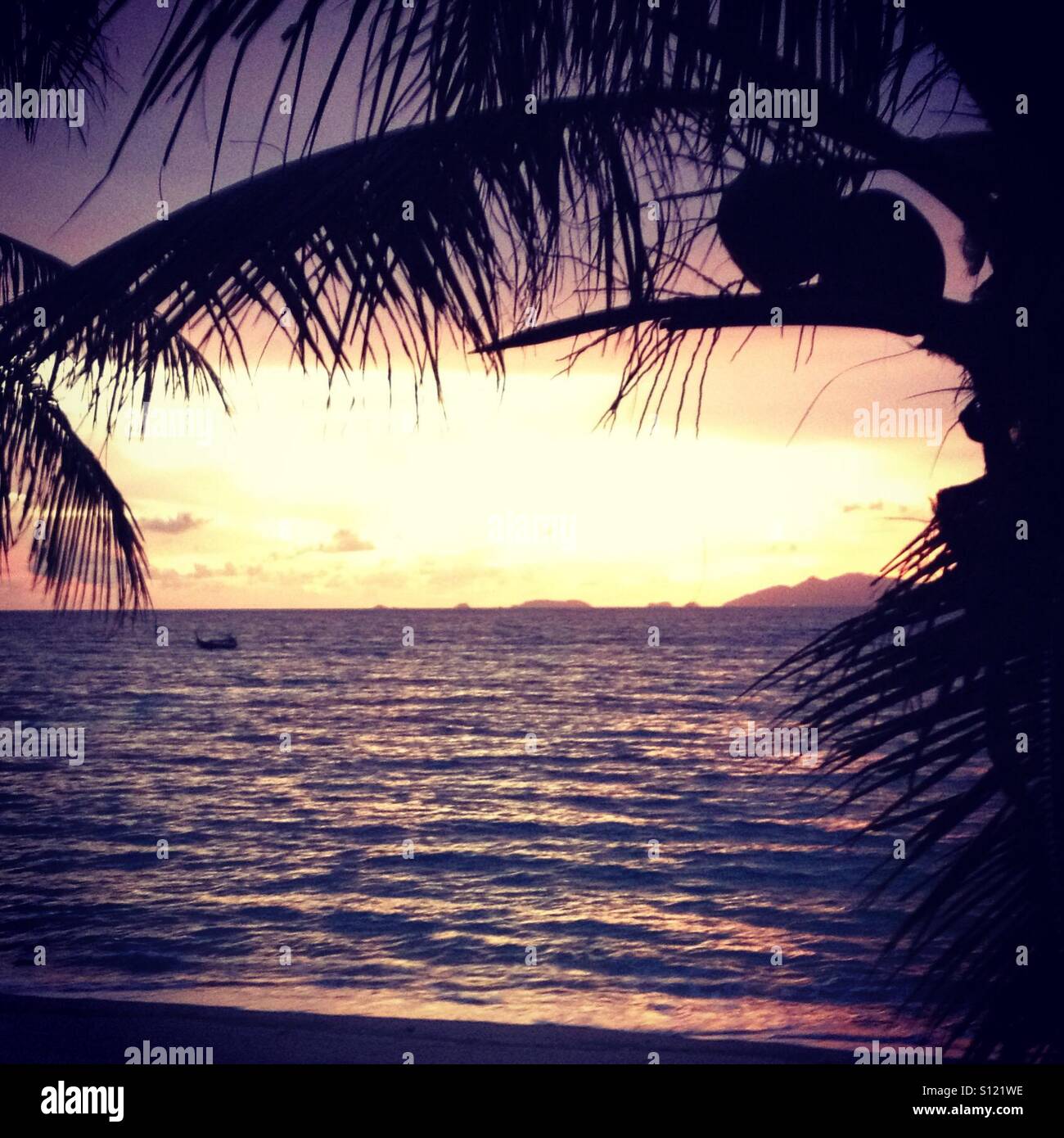 Island sunset with coconuts in palm tree Stock Photo - Alamy