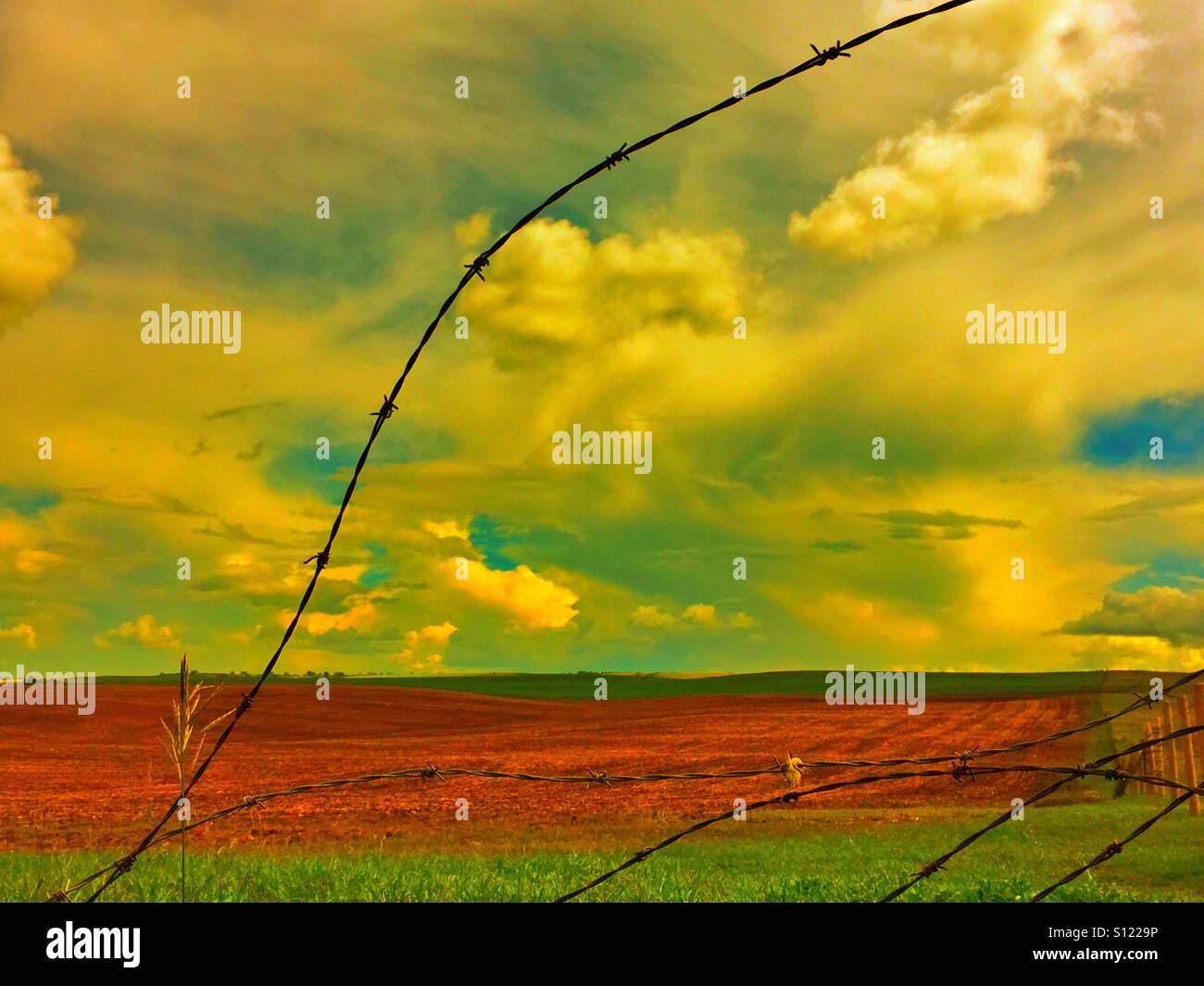 Strand of barbed fence wire Stock Photo - Alamy