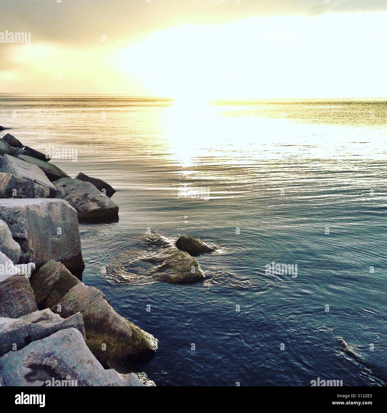 New buffalo hi-res stock photography and images - Alamy