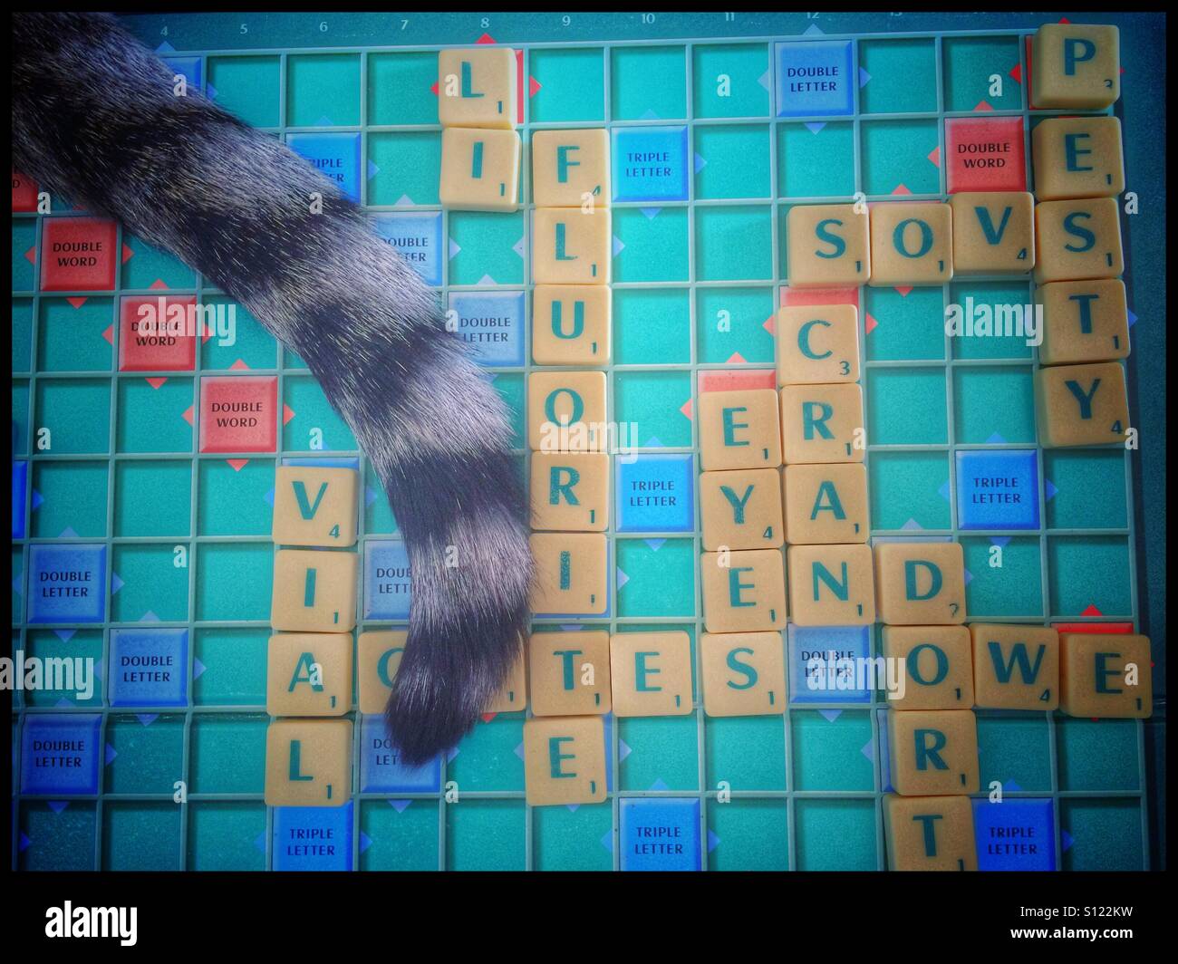 Cat's tail on scrabble board Stock Photo - Alamy