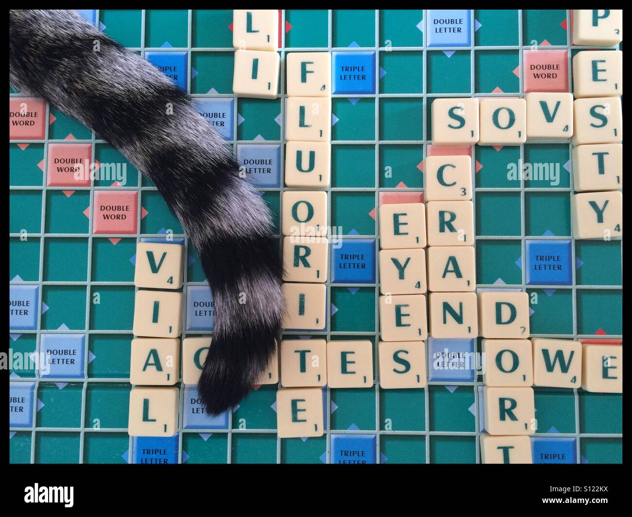 Scrabble board and word cat hi-res stock photography and images - Alamy