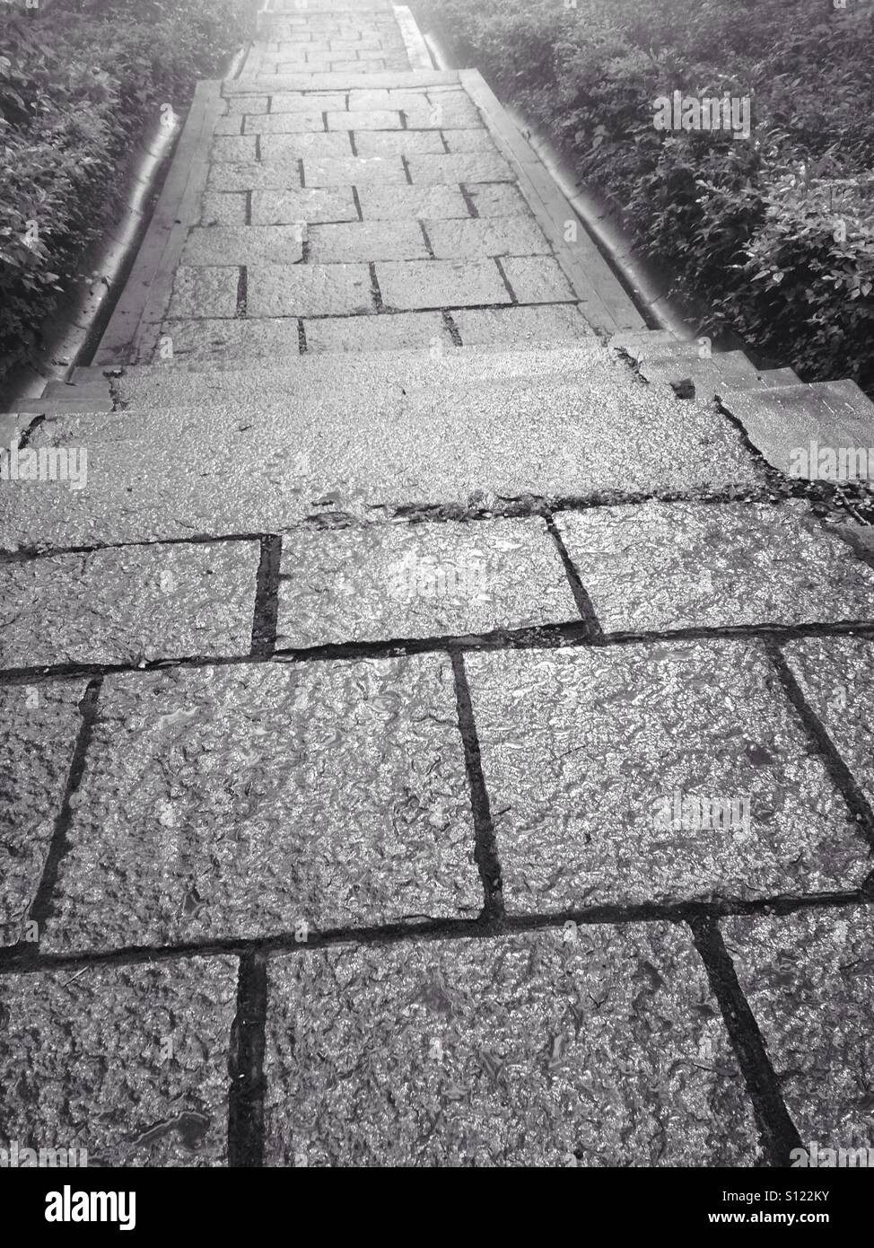 Path of squares hi-res stock photography and images - Alamy