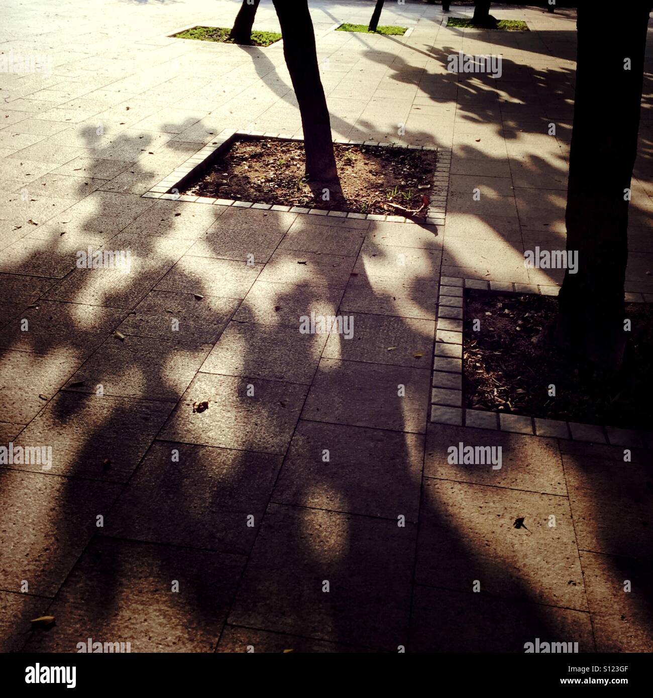 Summer shadow hi-res stock photography and images - Alamy