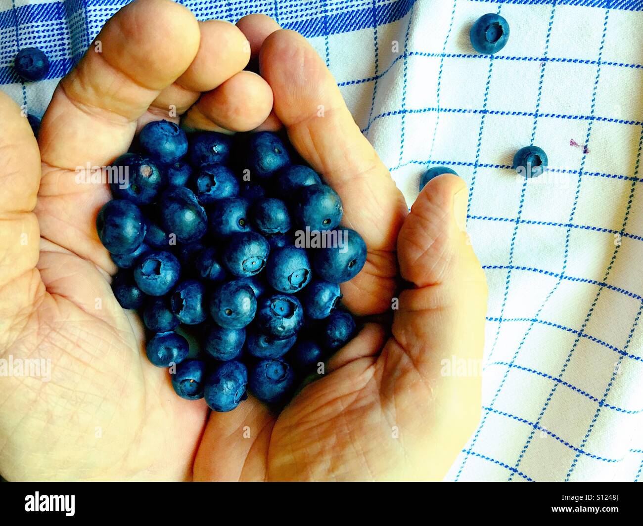 Eating blueberries man hi-res stock photography and images - Alamy