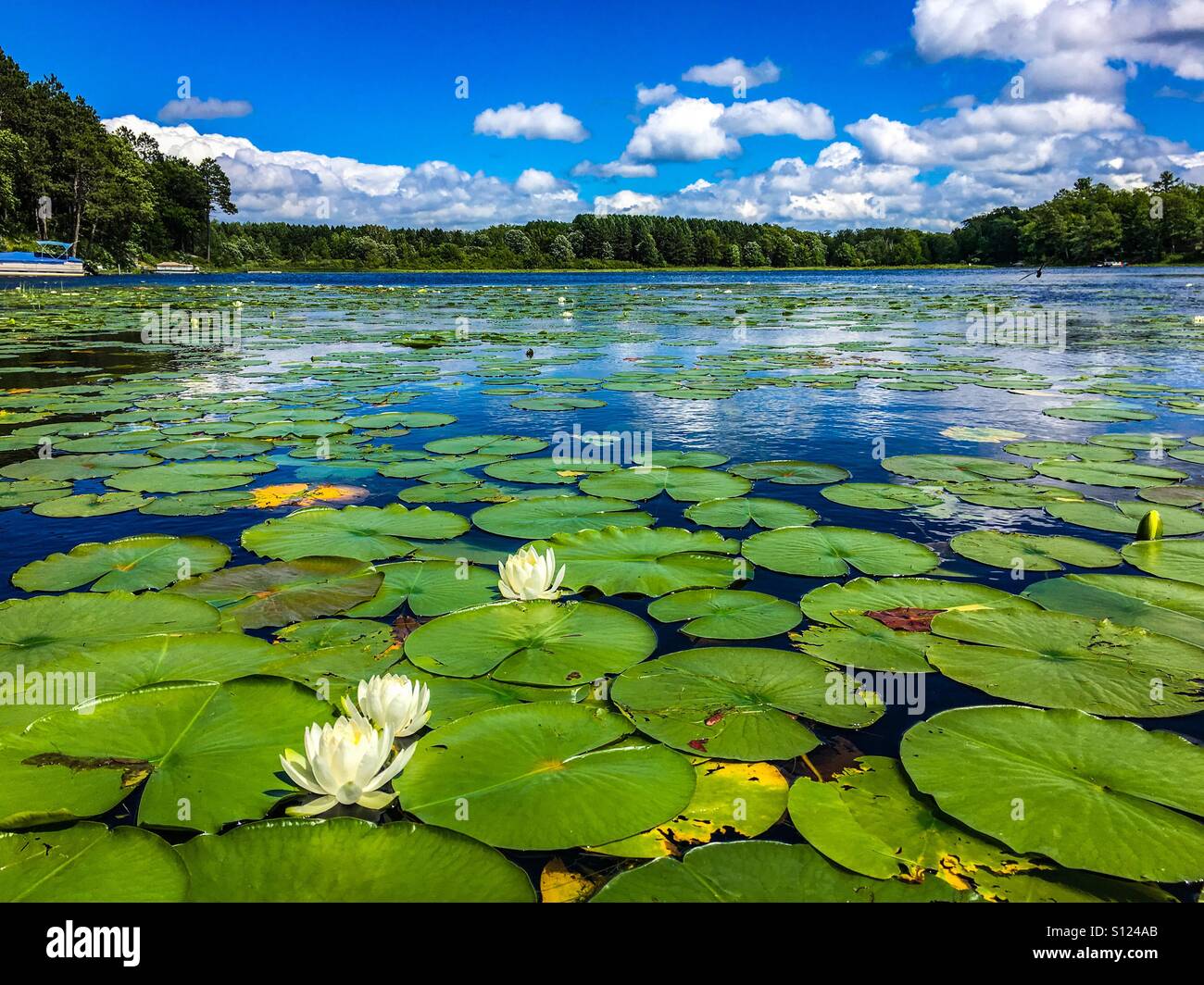 Lake partridge minnesota hi-res stock photography and images - Alamy