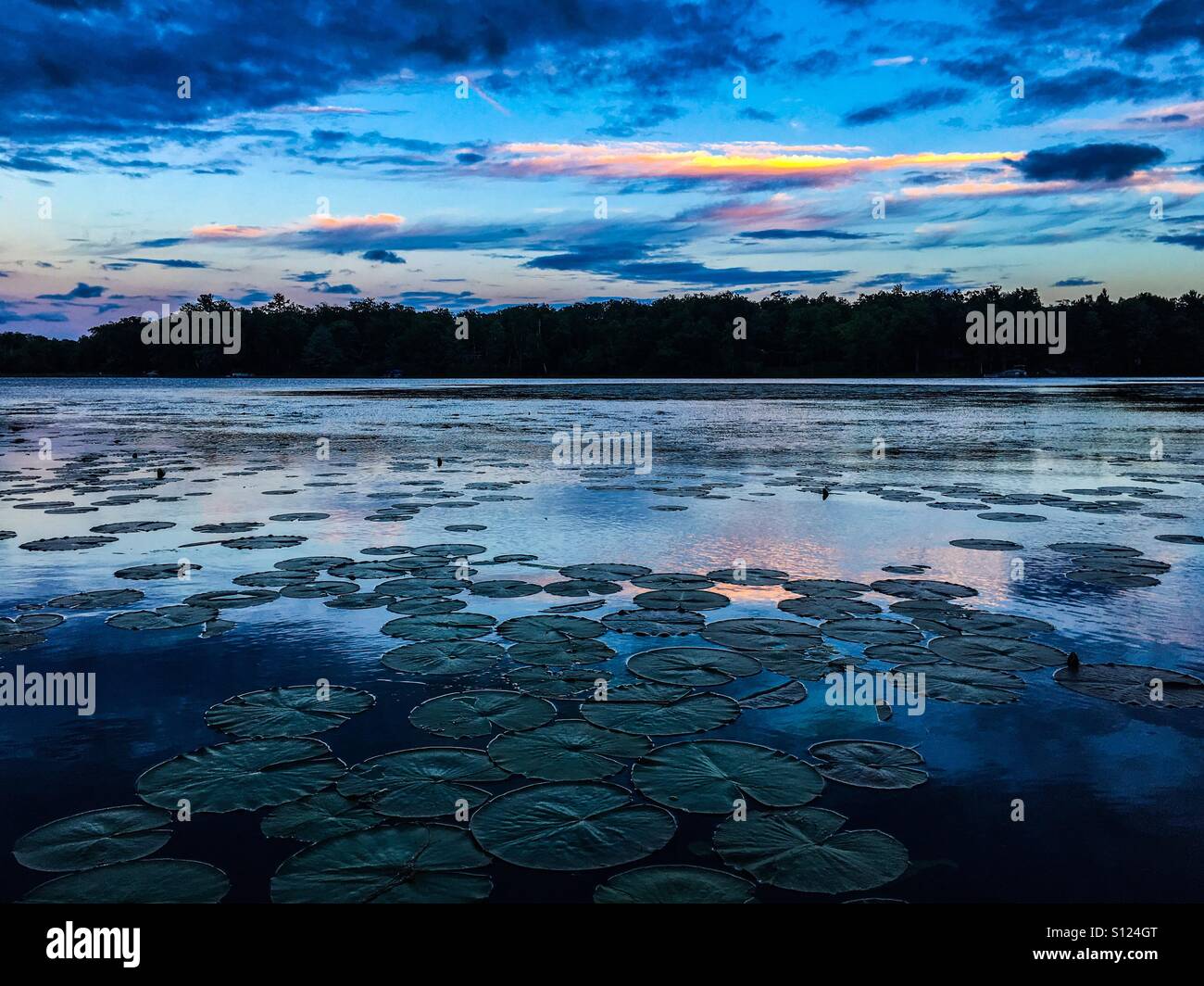 Partridge lake hi-res stock photography and images - Alamy