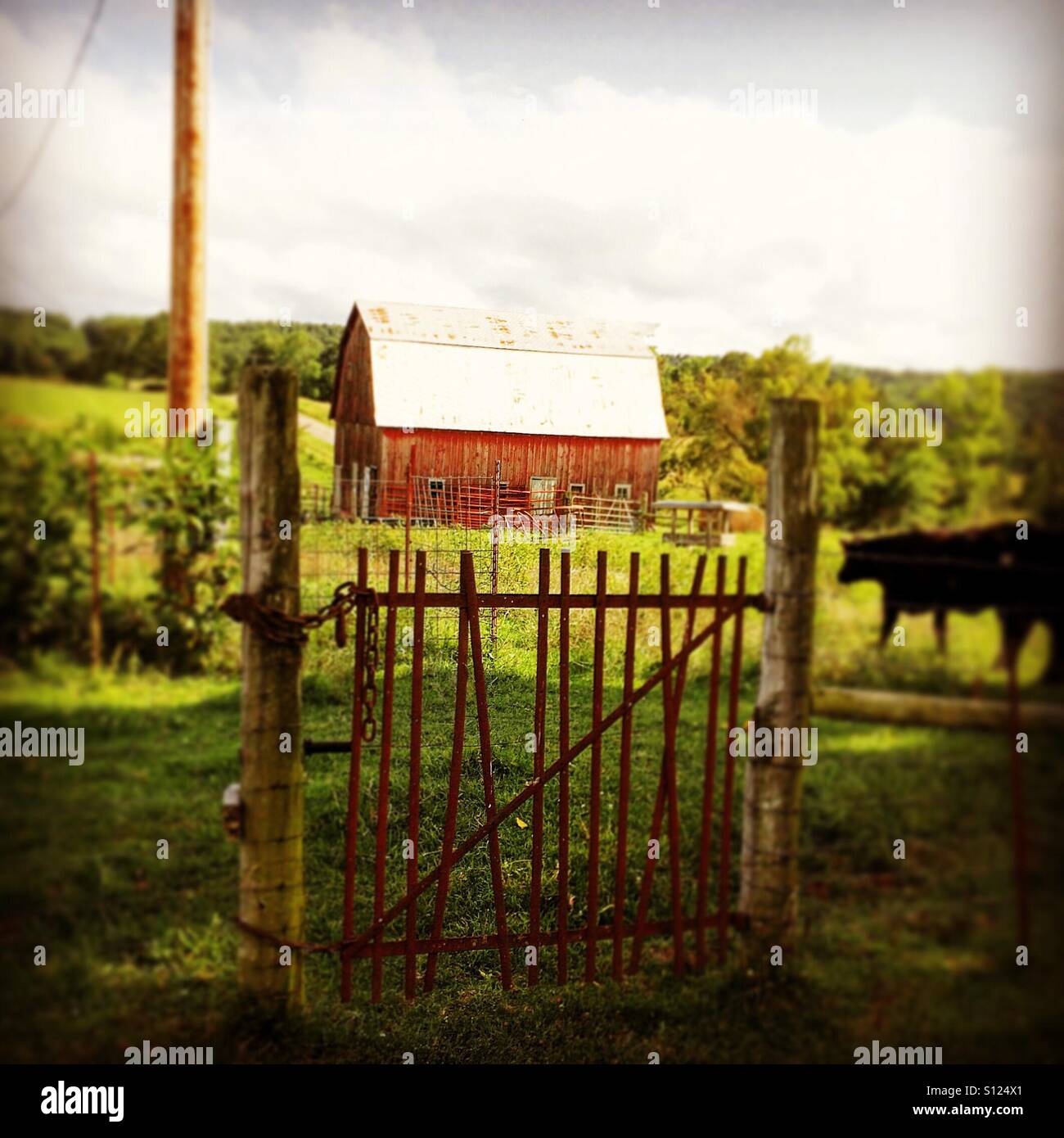 Rural farm gate hi-res stock photography and images - Alamy