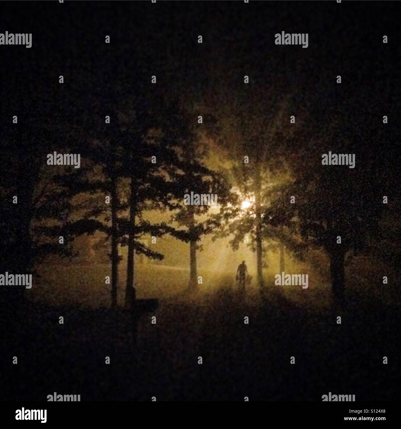 Mysterious person hi-res stock photography and images - Alamy