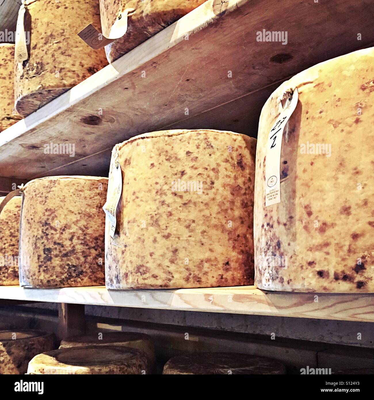 English cheese making hi-res stock photography and images - Alamy