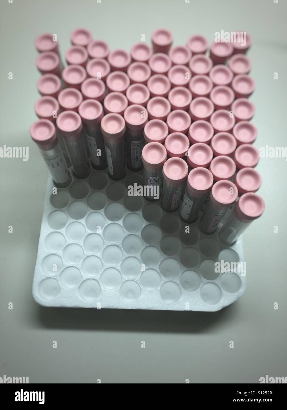 Pink top lab tubes Stock Photo - Alamy
