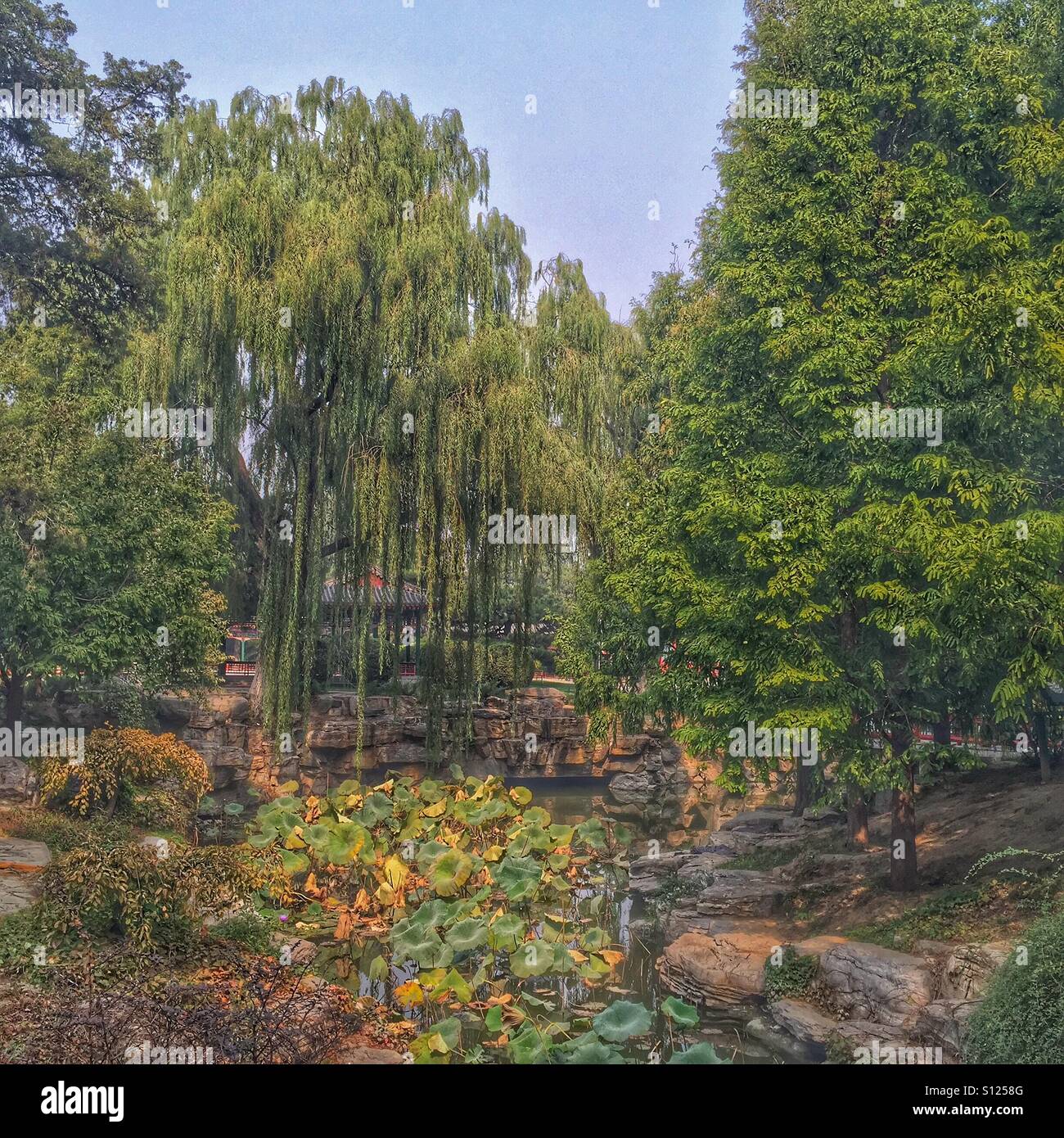 Chinese nature hi-res stock photography and images - Alamy