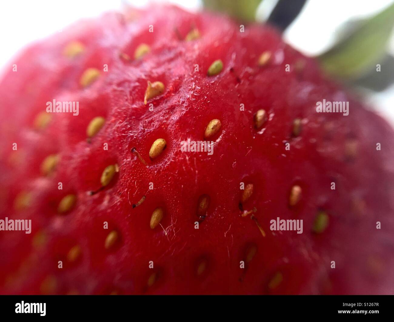 Strawberry seeds up close hi-res stock photography and images - Alamy