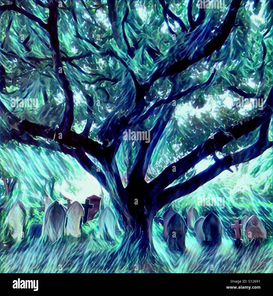 Tree amongst gravestones hi-res stock photography and images - Alamy