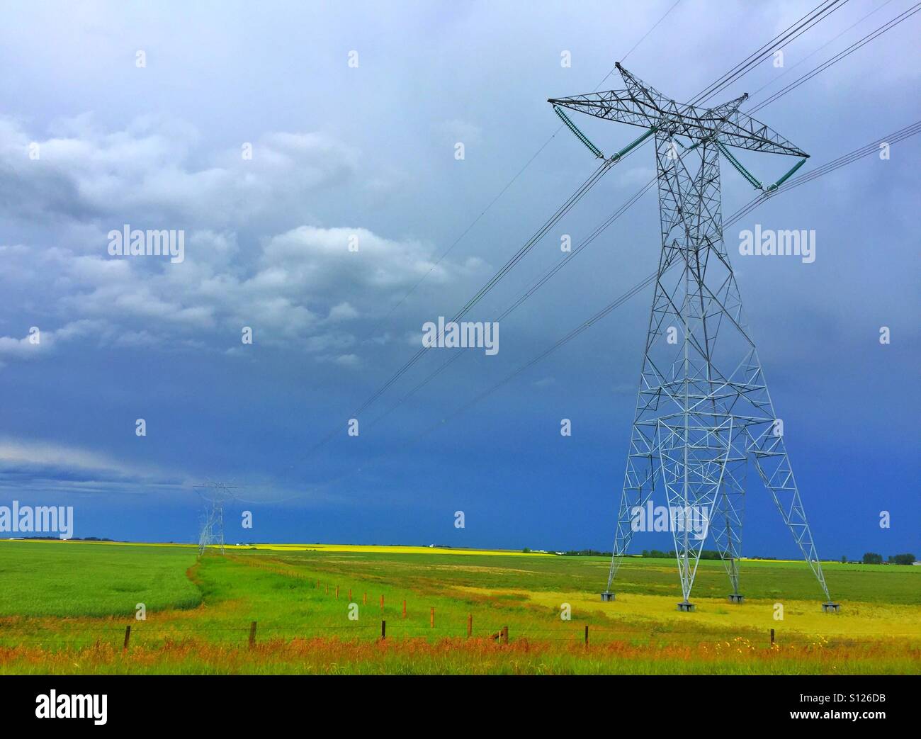 Dark skies, high tension power line and a canola field Stock Photo - Alamy