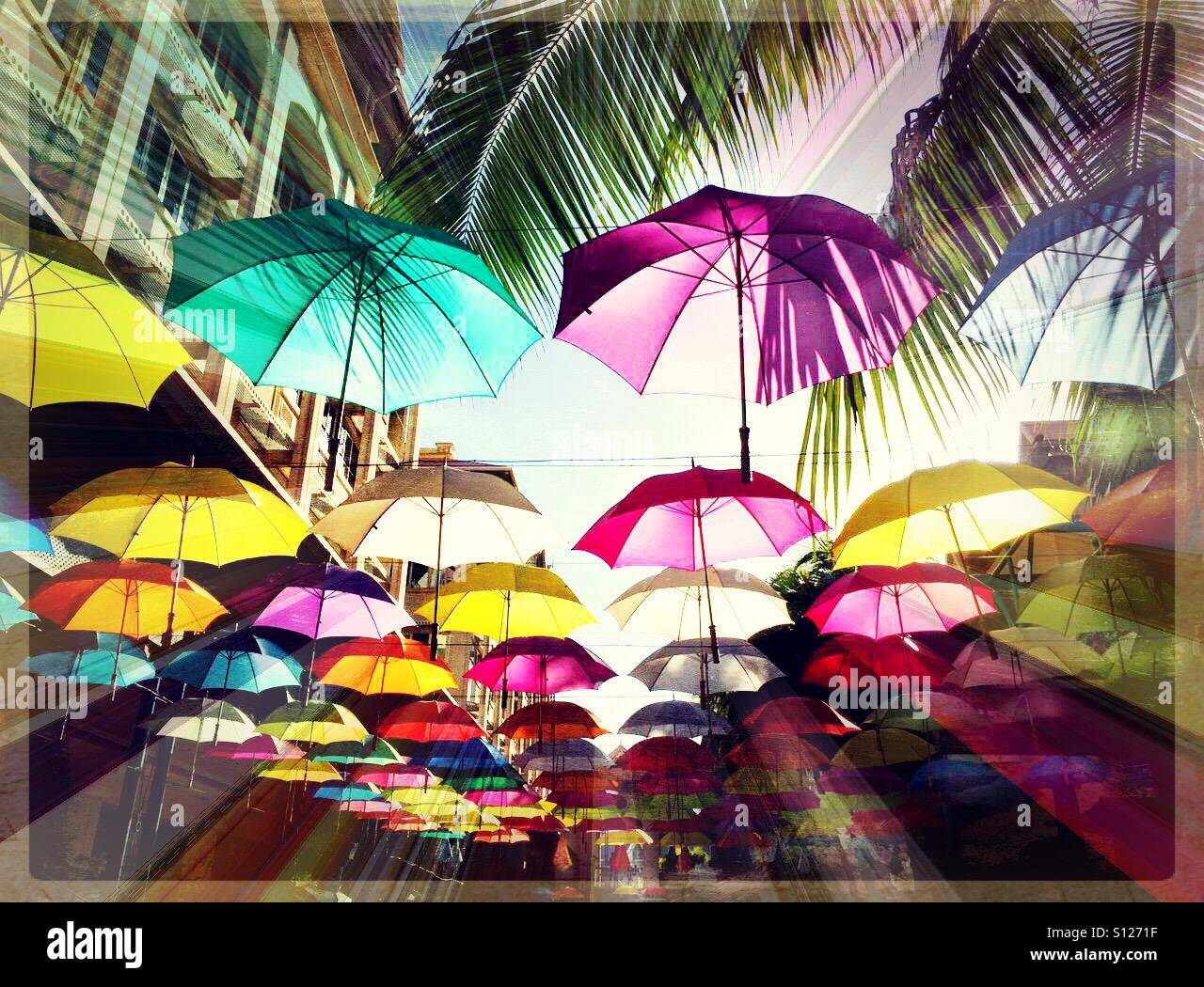Mauritius, colours in the air...! Stock Photo - Alamy