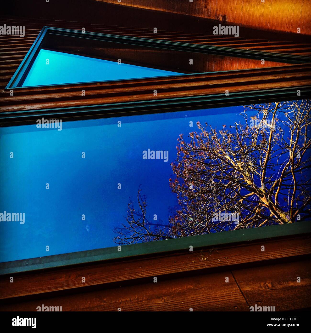 Reflection of tree in window hi-res stock photography and images - Alamy