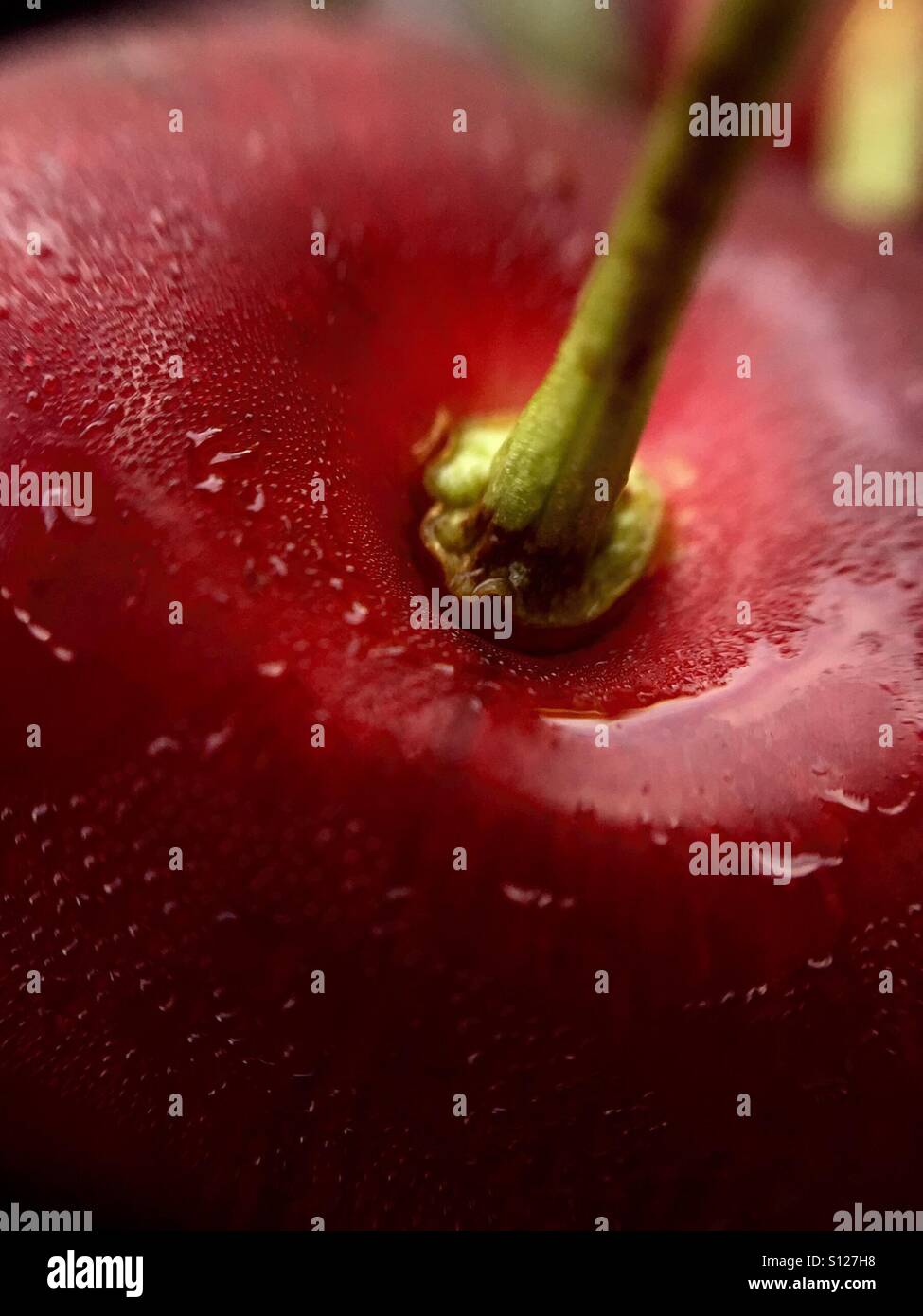 Sweet cherry macro Stock Photo - Alamy