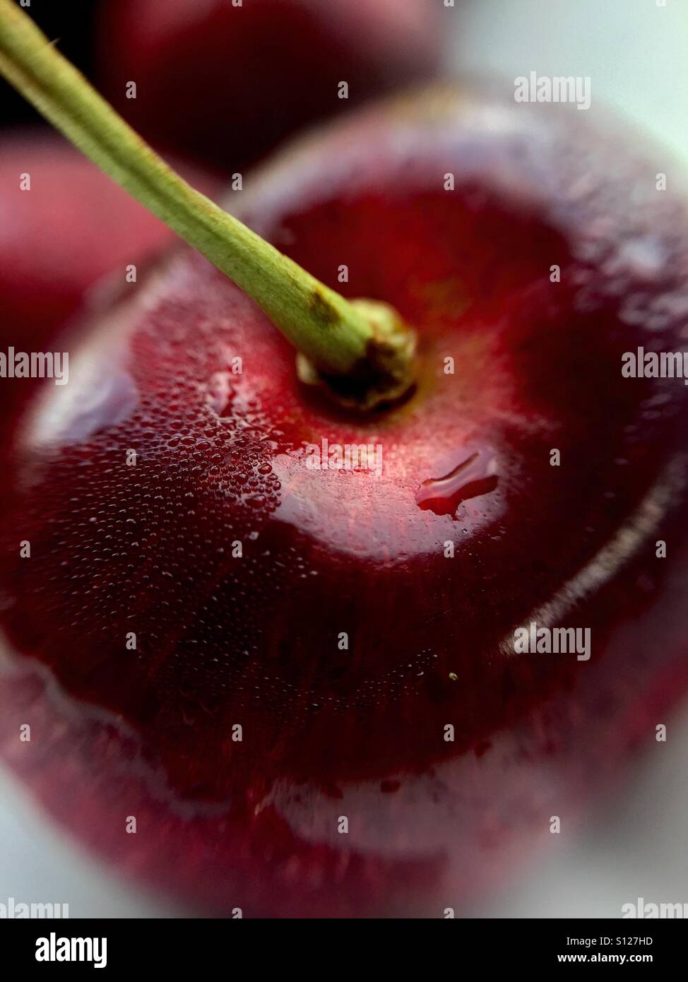 Sweet cherry close up Stock Photo - Alamy