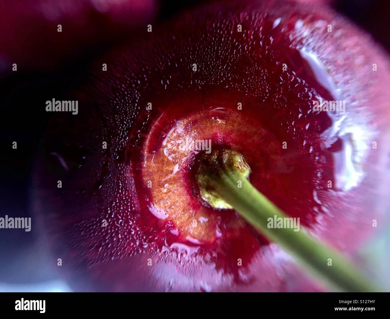 Cherry shine hi-res stock photography and images - Alamy