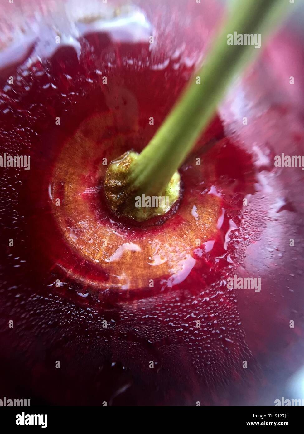 Close up of a sweet cherry Stock Photo - Alamy