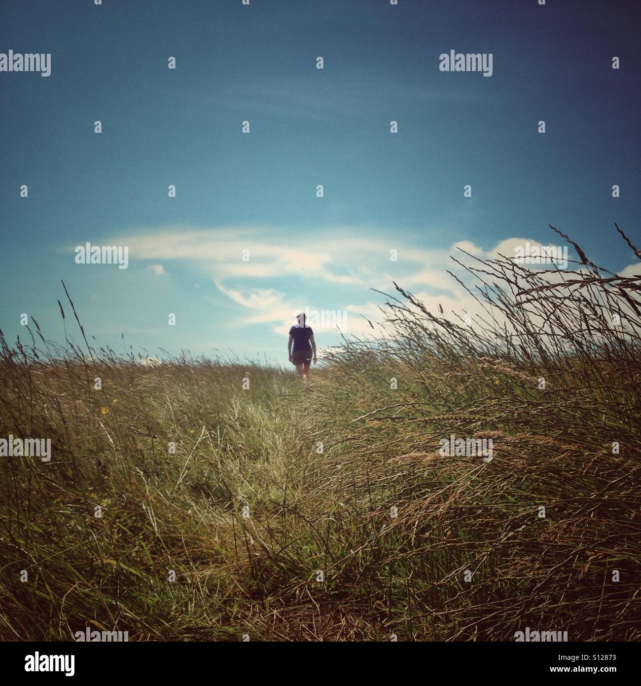 Person walking field grass hi-res stock photography and images - Alamy