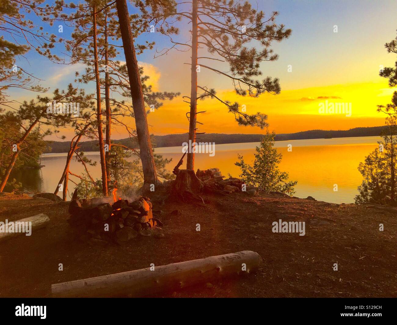 Log benches hi-res stock photography and images - Alamy