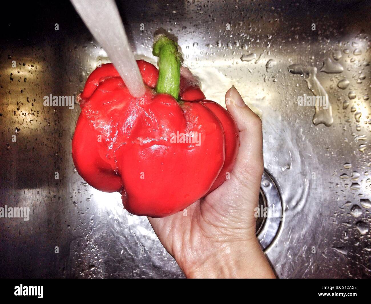 Washing red bell pepper Stock Photo - Alamy