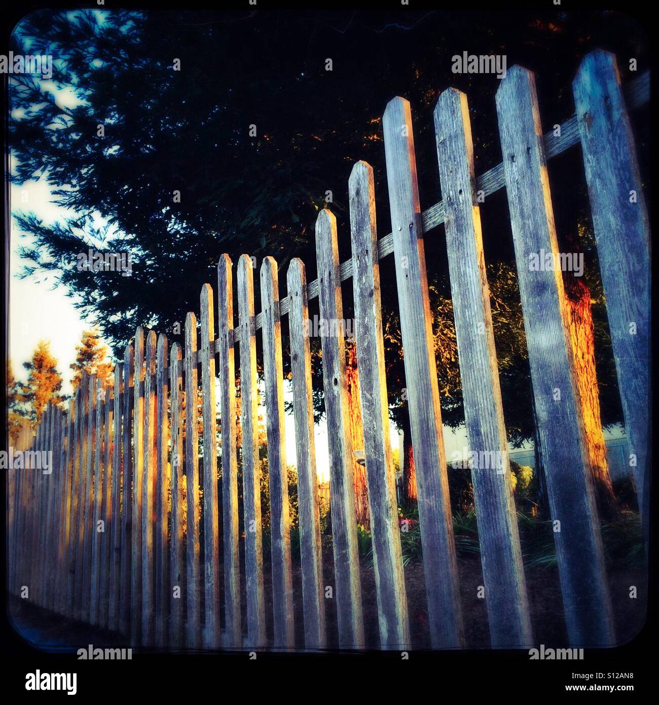 Wooden picket fence Stock Photo - Alamy