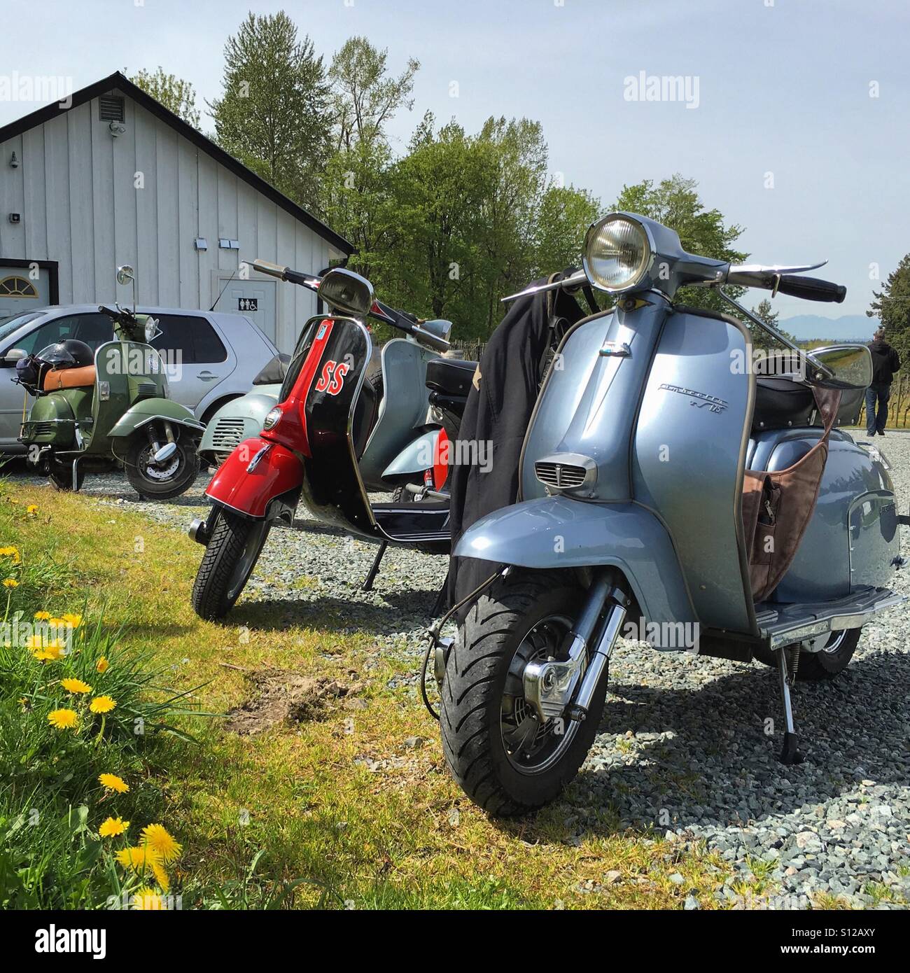 Vintage scooters visit a winery Stock Photo - Alamy