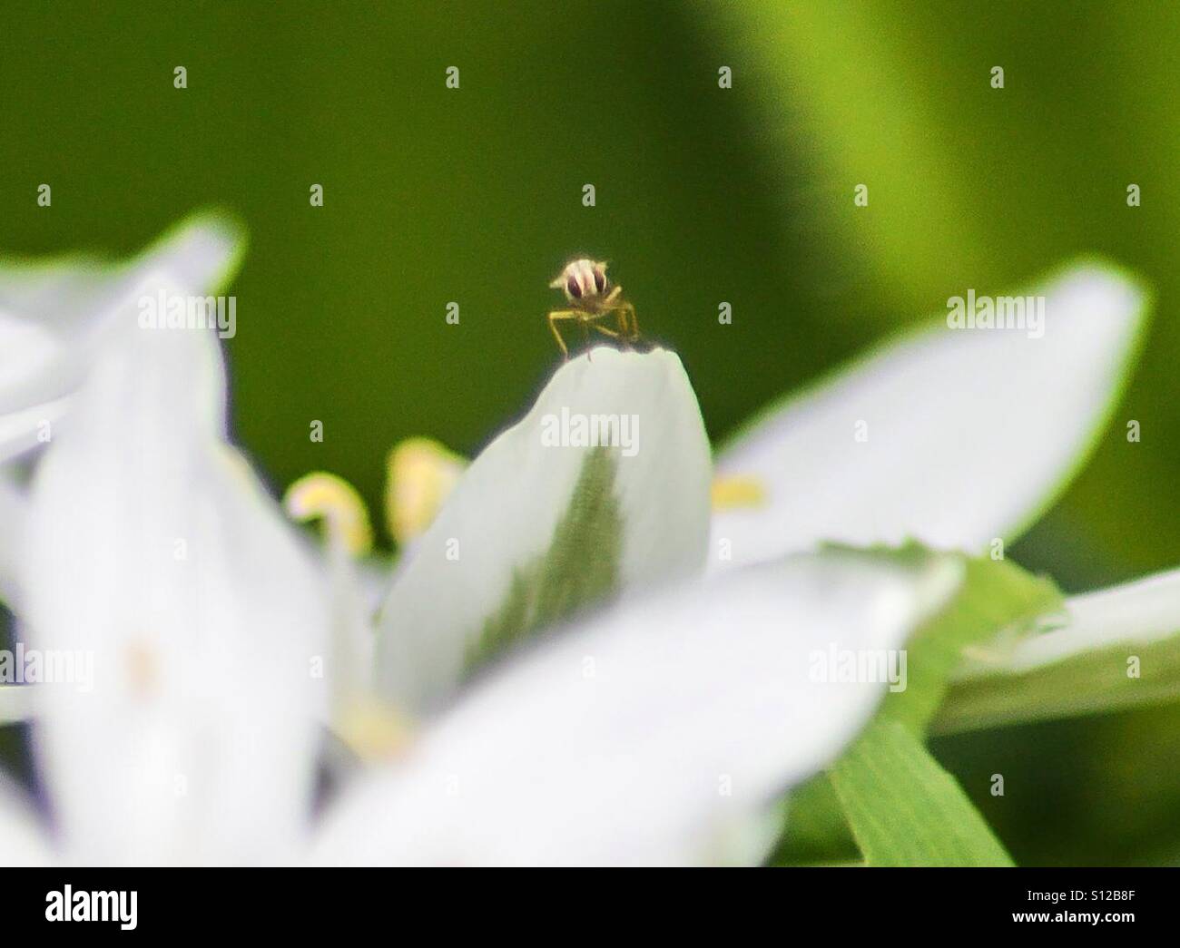 Bug friend hi-res stock photography and images - Alamy