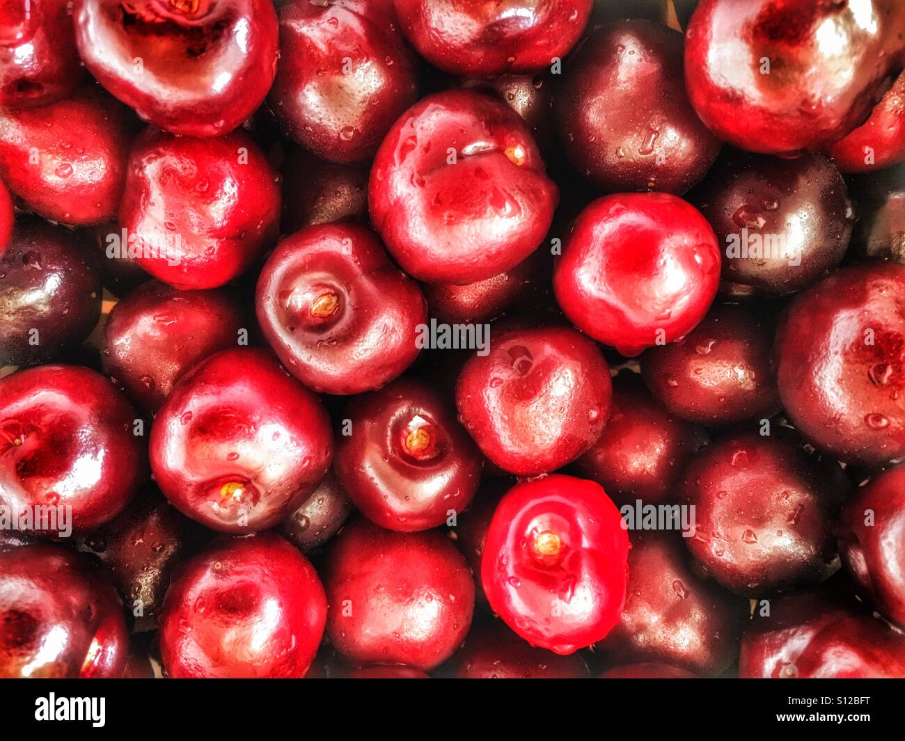 Jerte Picotas, cherries from the Jerte Valley, Spain. Jerte Picotas are ...