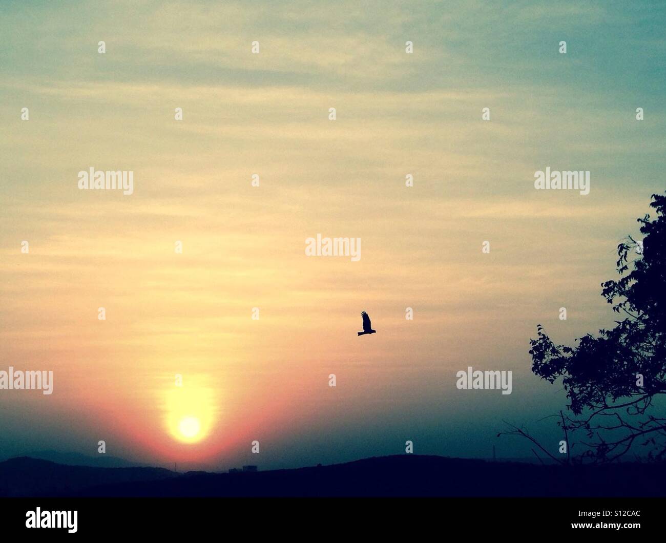 Mit pune hi-res stock photography and images - Alamy