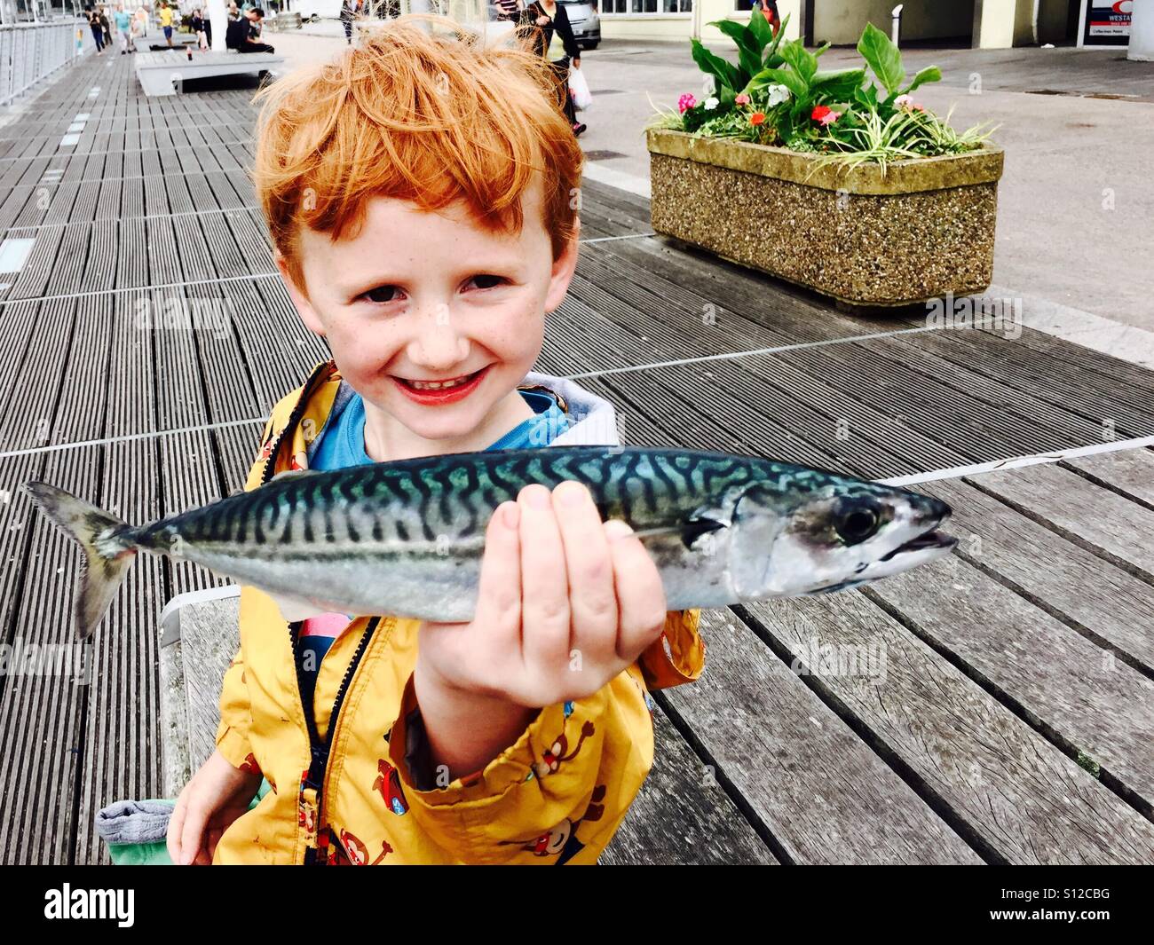 Boy holding a fish Stock Photo - Alamy