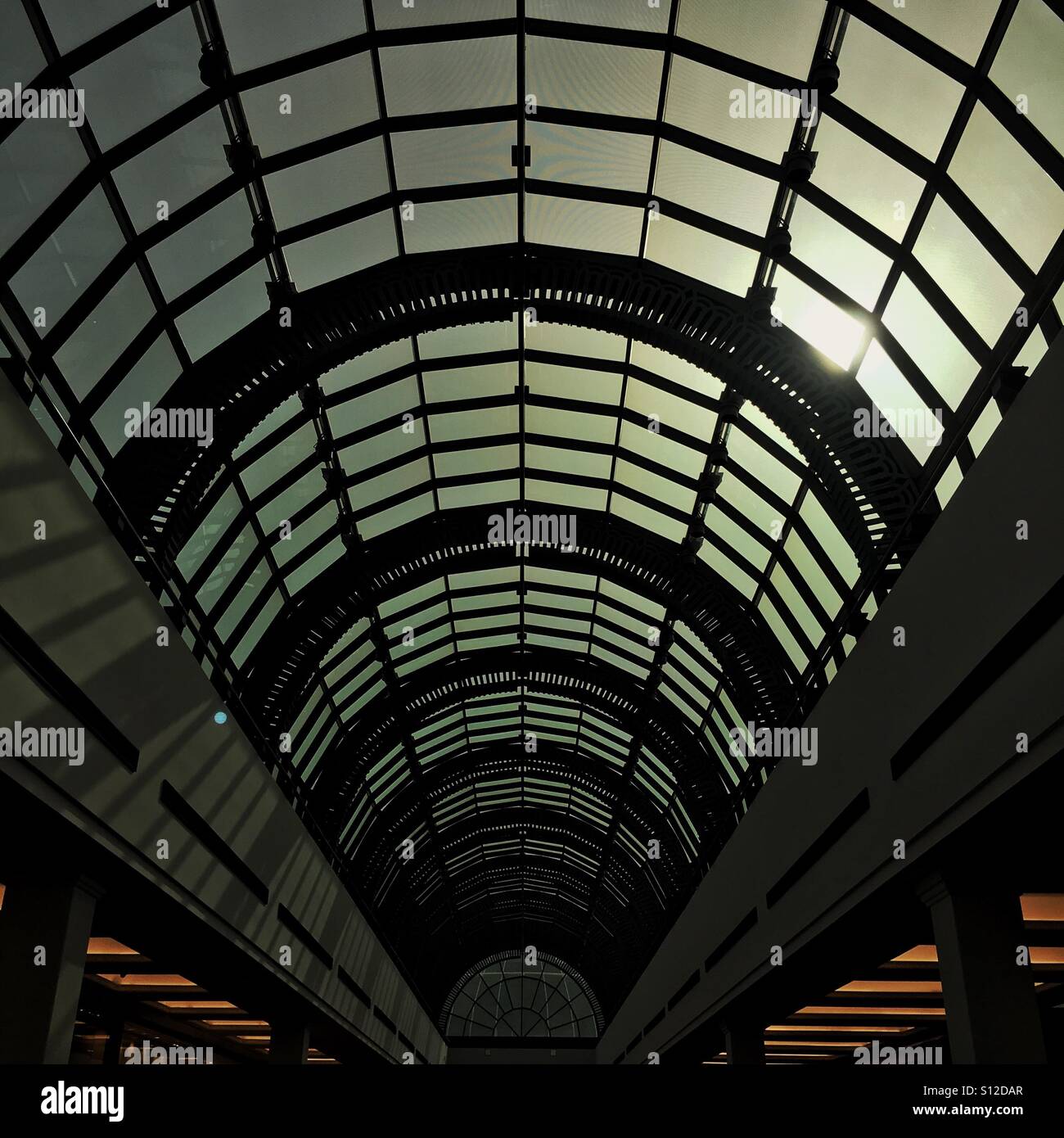 Skeleton structure hi-res stock photography and images - Alamy