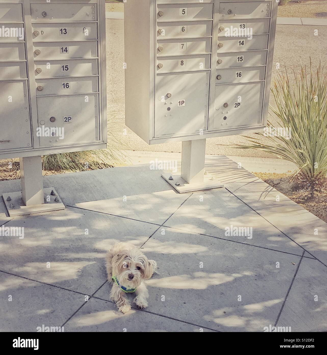 Waiting for your letter Stock Photo - Alamy