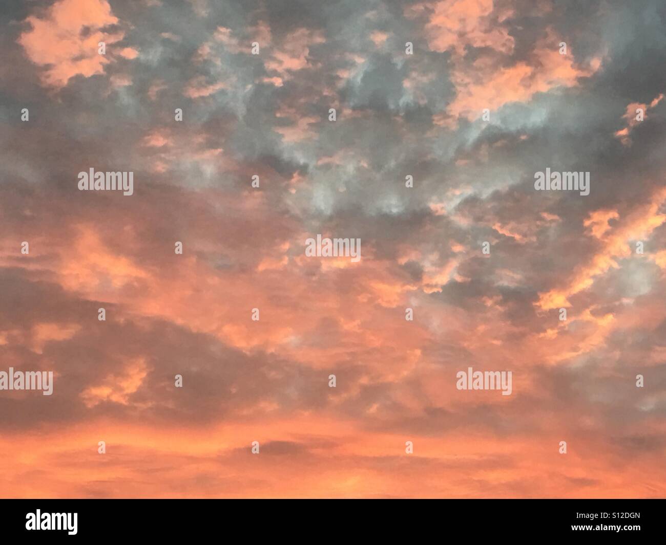 Natuur hi-res stock photography and images - Alamy