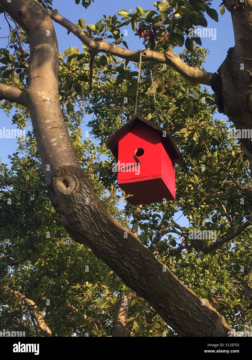 Red bird house Stock Photo - Alamy