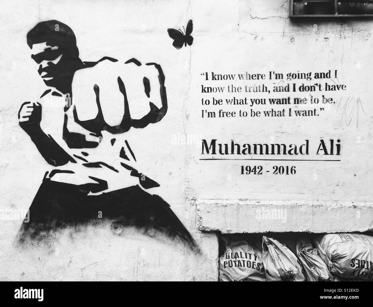 Boxer muhammad ali Black and White Stock Photos & Images - Alamy