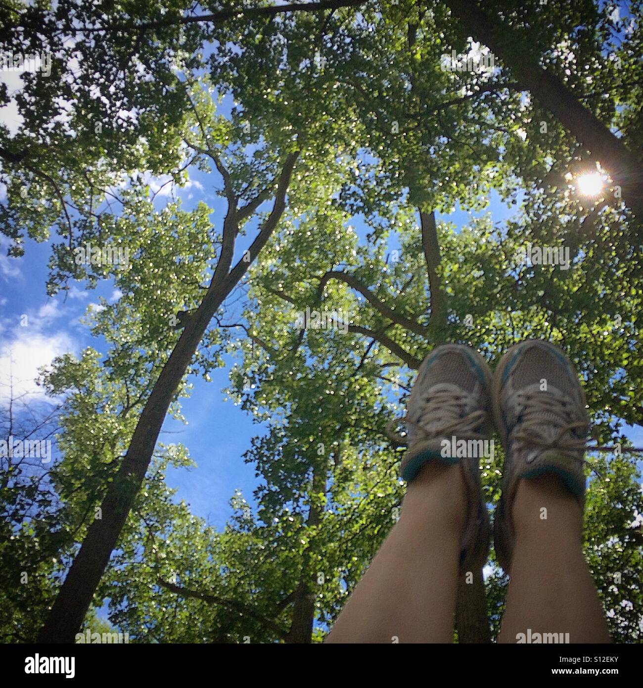Shoes in trees hi-res stock photography and images - Alamy