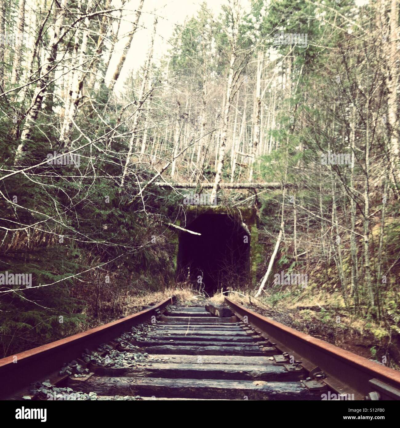 Abandoned train tracks Stock Photo - Alamy