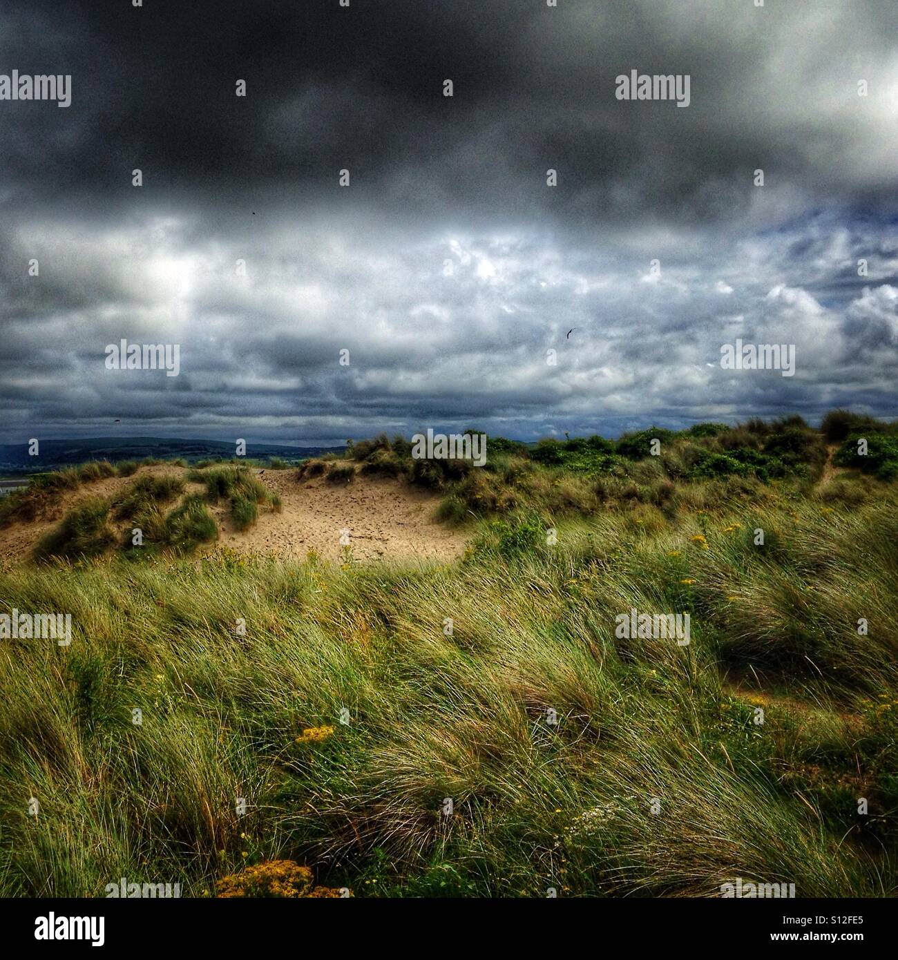Sand Dunes & Storm Clouds Stock Photo - Alamy