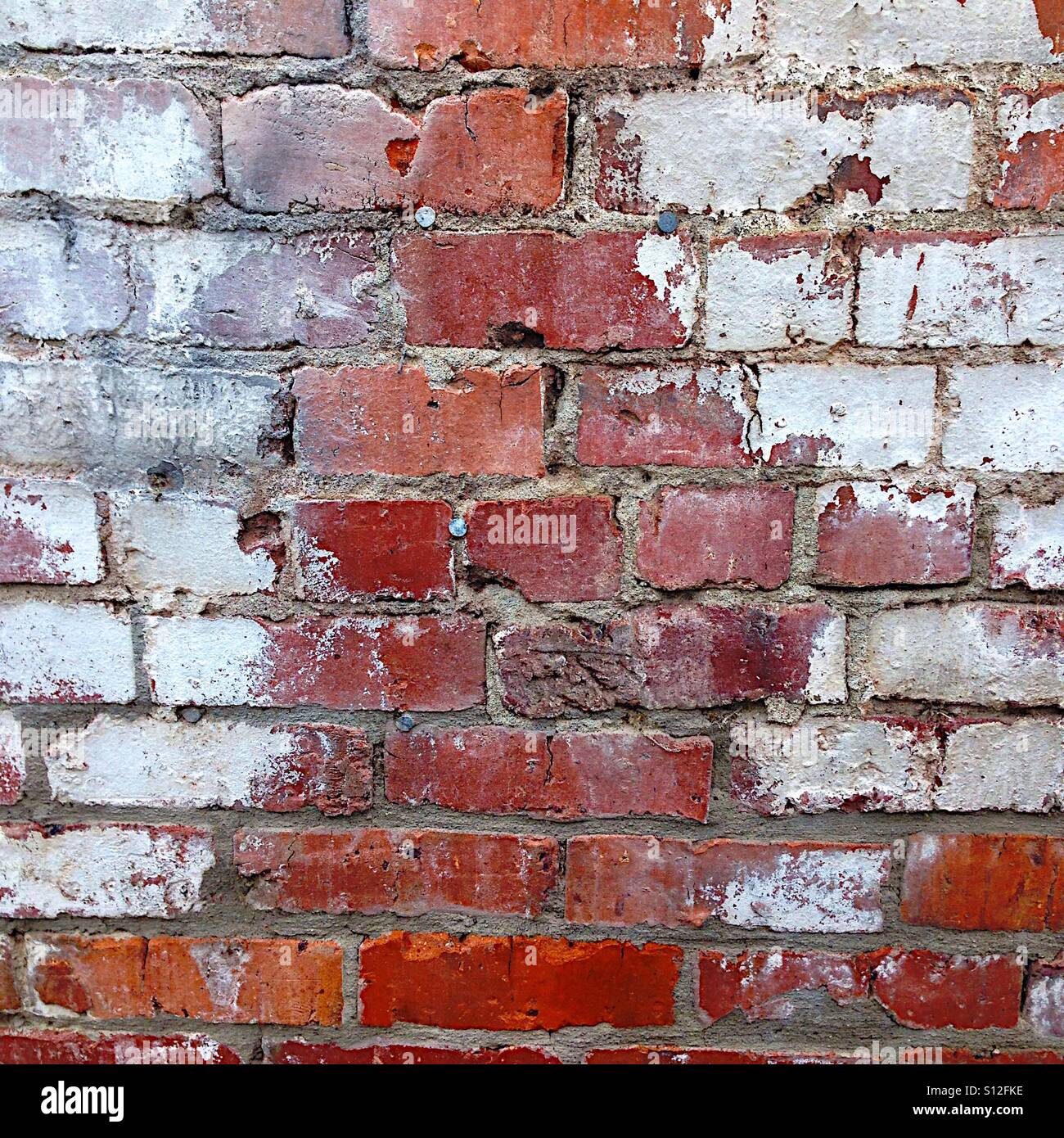 White bricks hi-res stock photography and images - Alamy