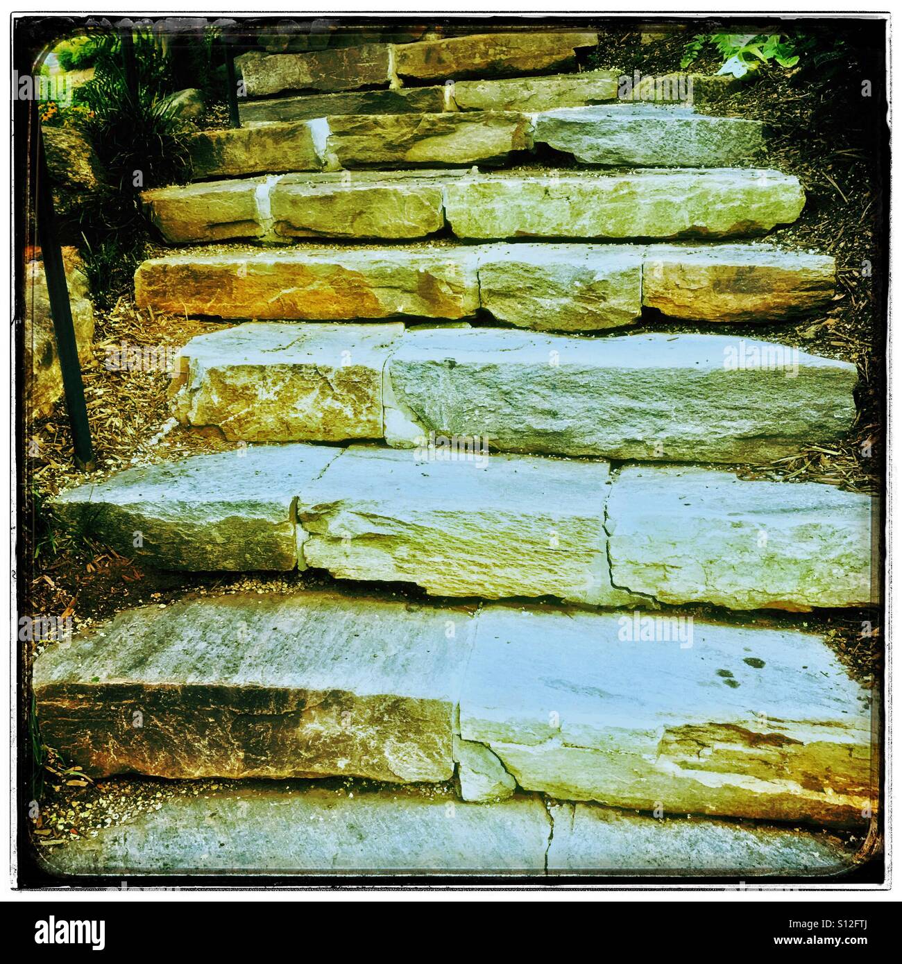 Stone steps in a park Stock Photo - Alamy
