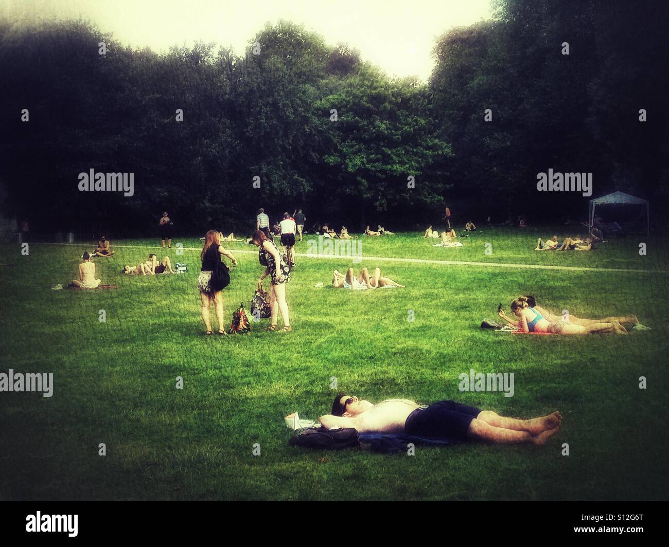 Sunbathing in the park Stock Photo - Alamy