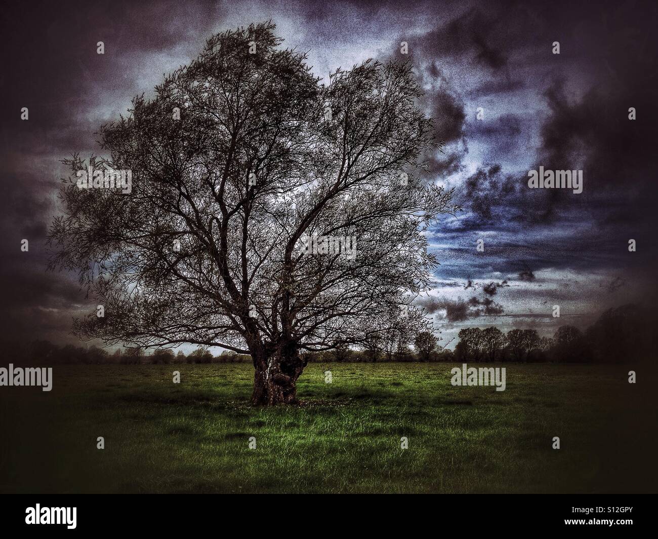 Moody field hi-res stock photography and images - Alamy